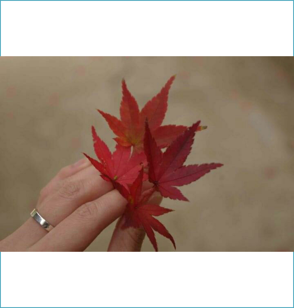 身份已獲報價鴨認證